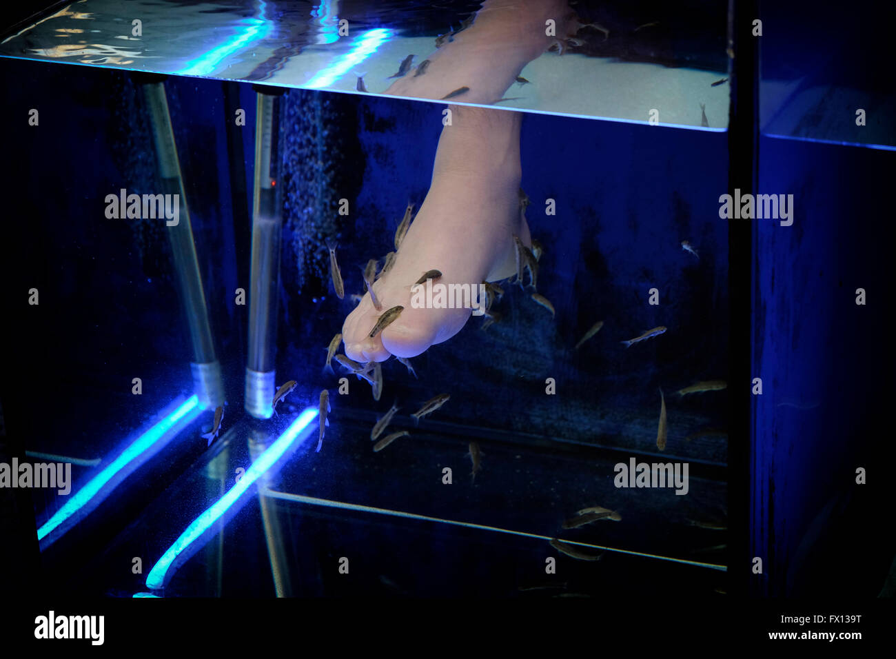 Feet Fish Spa High Resolution Stock Photography and Images - Alamy