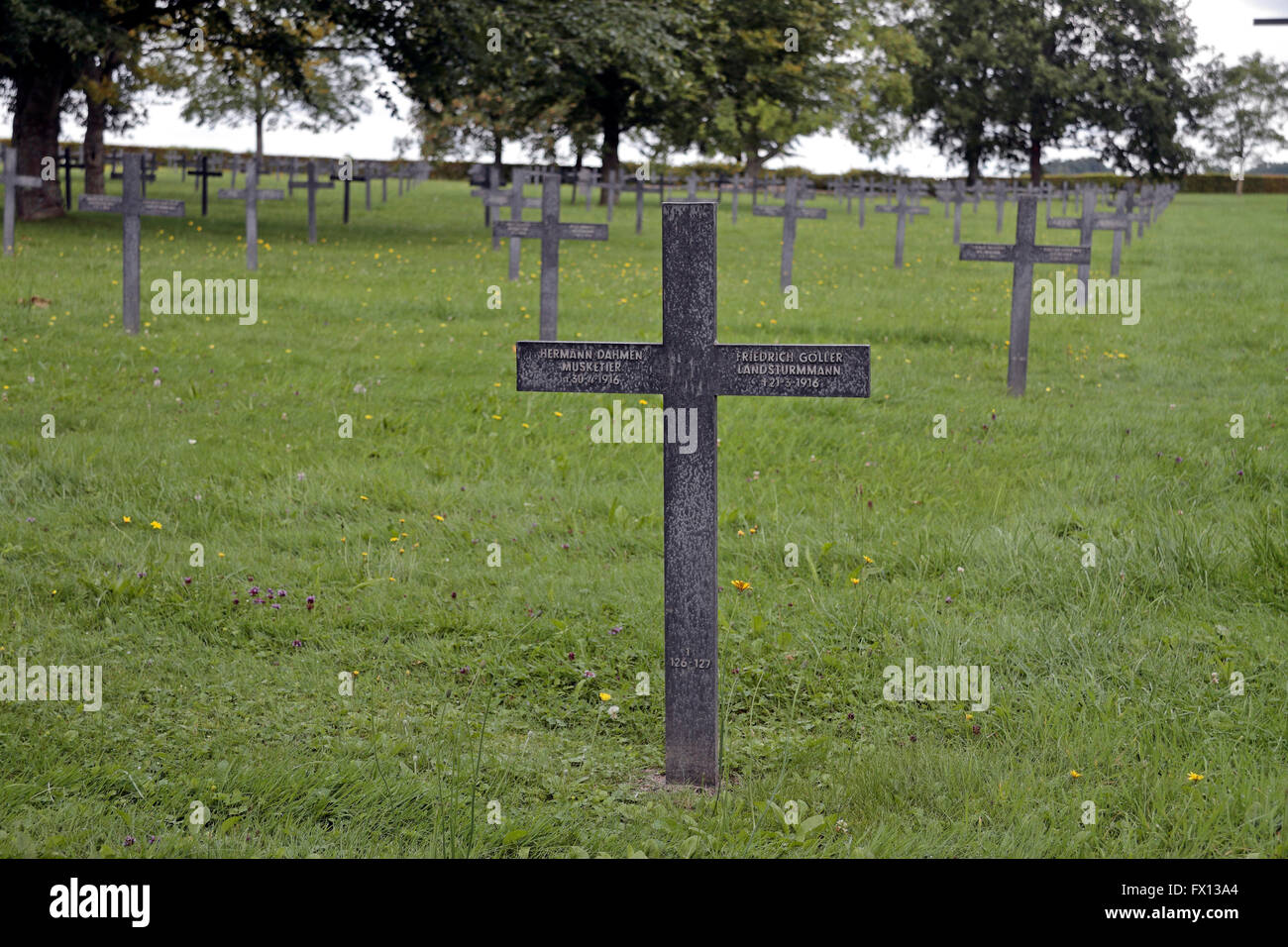 Crosses marking graves in the German Cemetery Cheppy, Lorraine, France ...