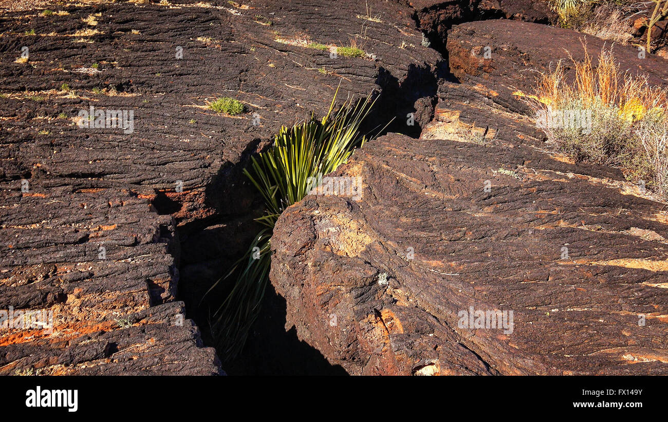 Fault activity hi-res stock photography and images - Alamy