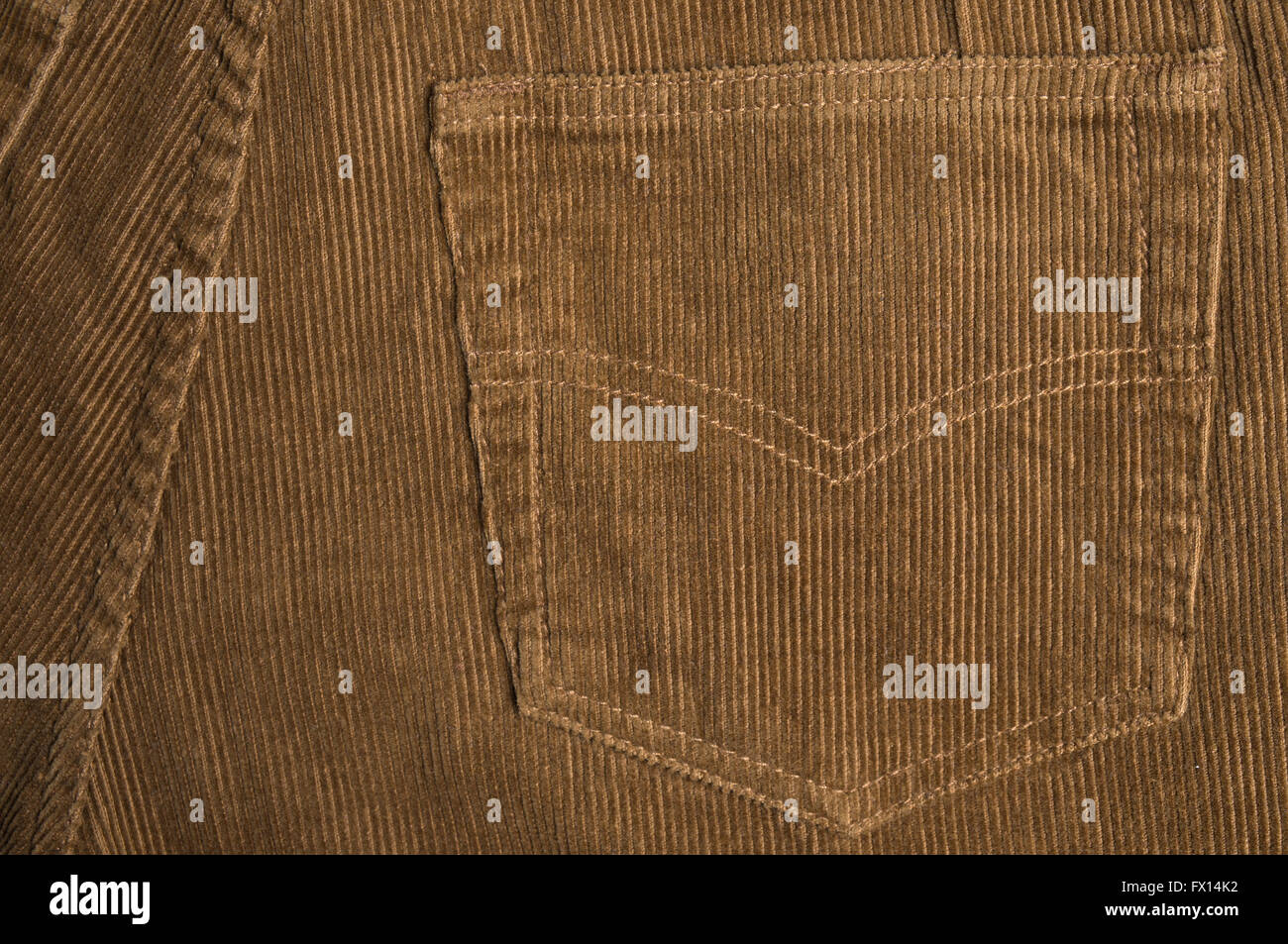 Brown bombazine pants close up detail. Fashion, textures and ...