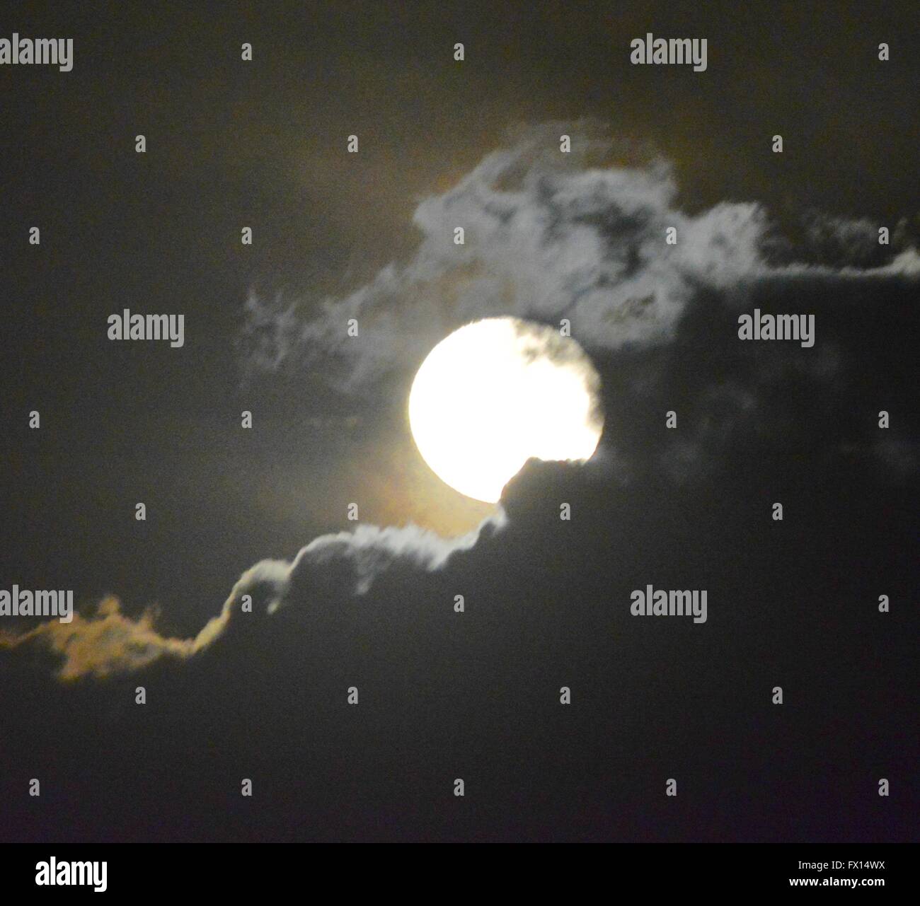 moon rising over the Florida Keys Stock Photo - Alamy