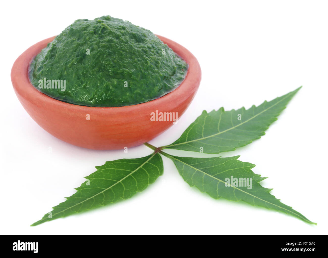 Medicinal neem leaves with ground paste over white background Stock ...