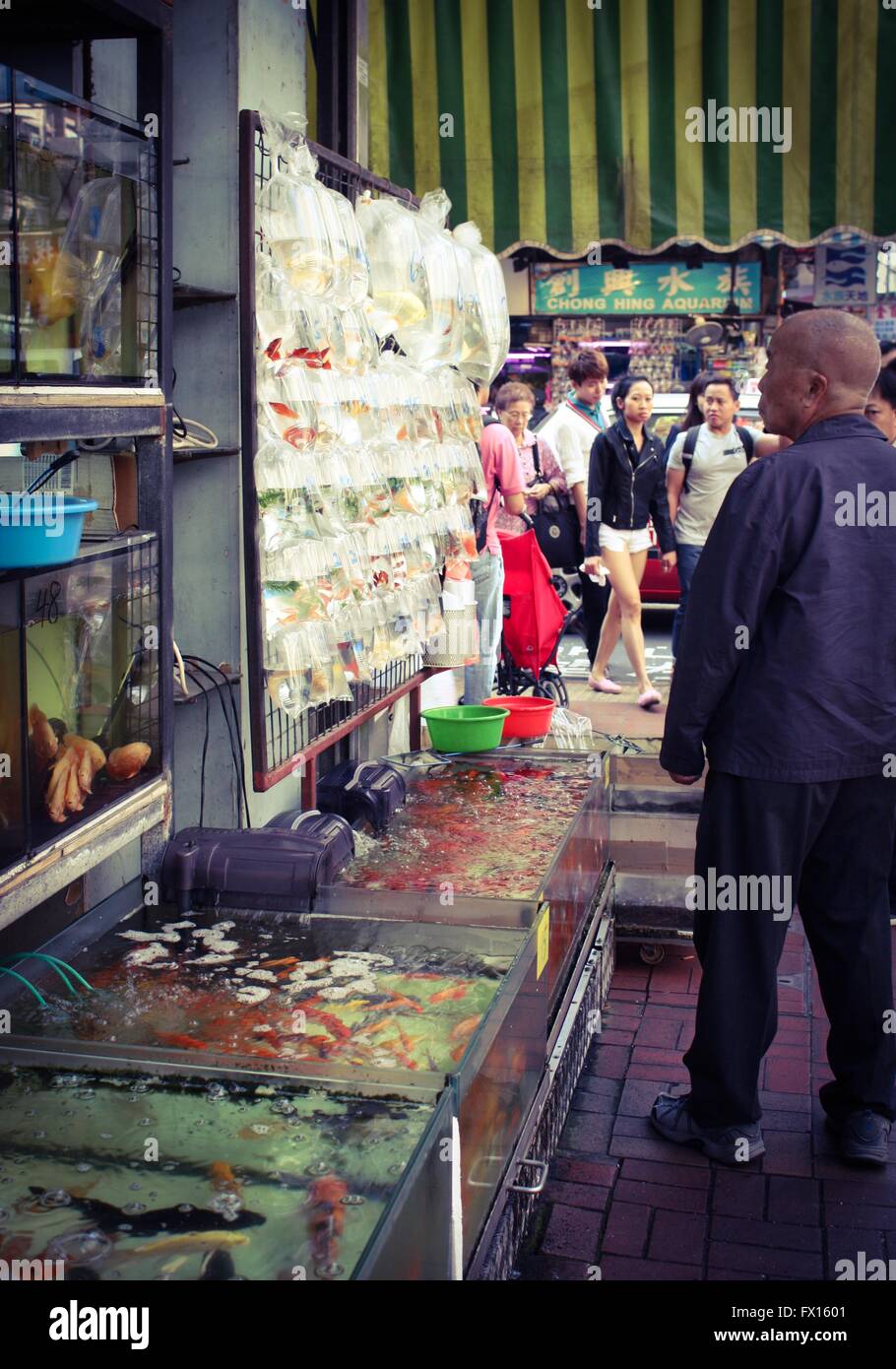 Man with goldfish hi-res stock photography and images - Alamy