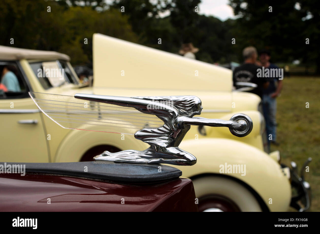 Classic Car Hood Ornament Stock Photos & Classic Car Hood Ornament ...