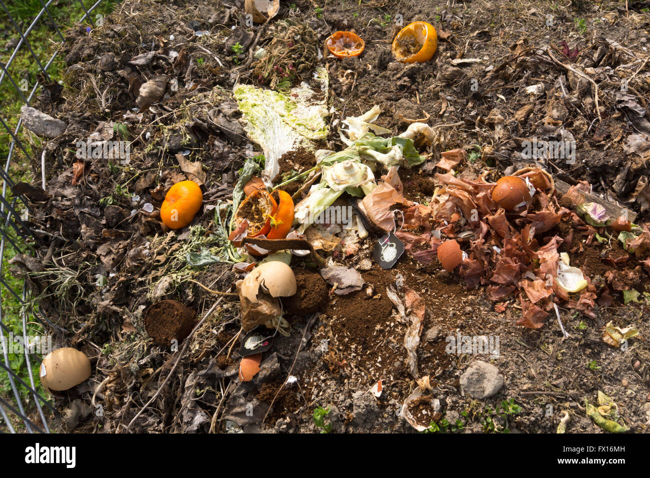 Onion waste hi-res stock photography and images - Alamy