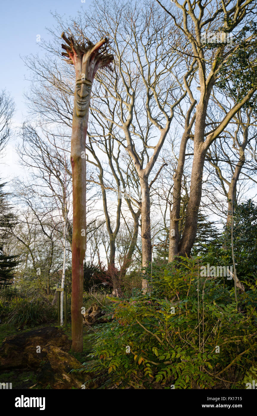 Tree stump and feature hi-res stock photography and images - Alamy