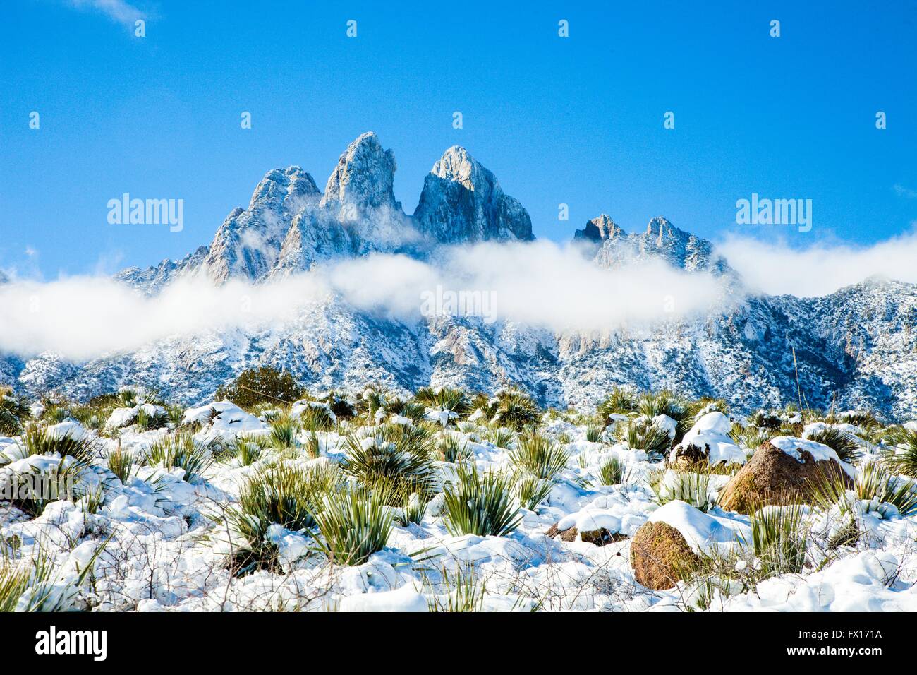 Organ mountains desert peaks national monument hi-res stock photography ...