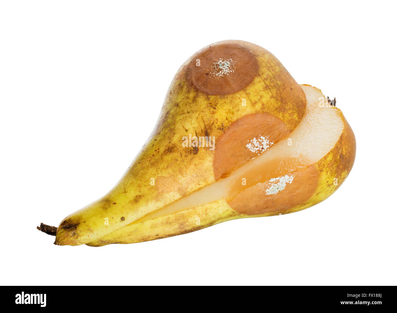 Pear and brown rot hi-res stock photography and images - Alamy