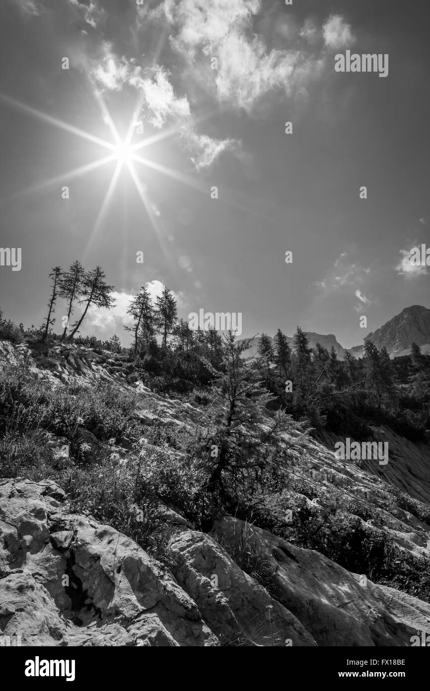 Towers on dolomites Black and White Stock Photos & Images - Alamy
