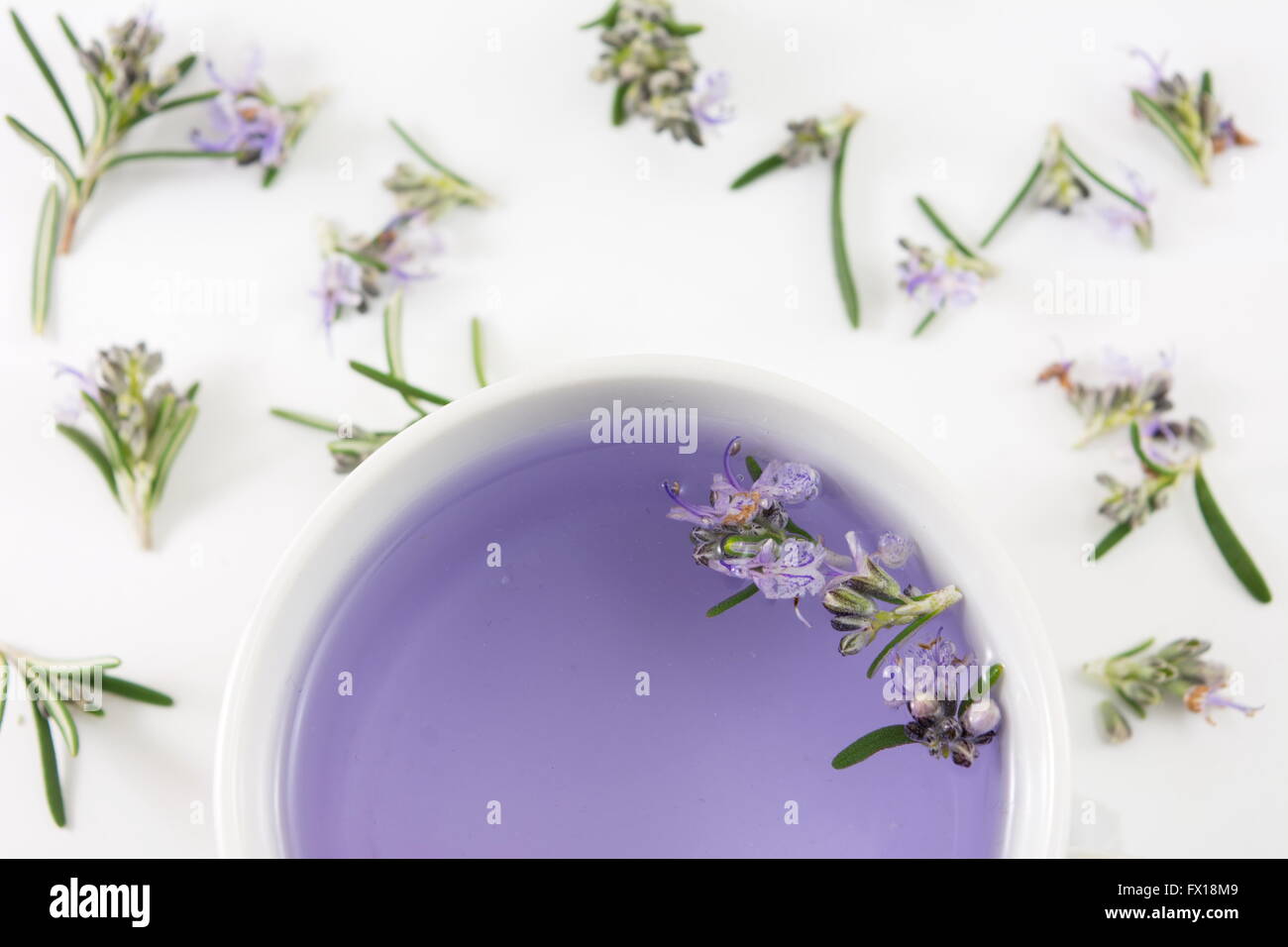 Colored rosemary tea with fresh rosemary flowers scattered Stock Photo ...