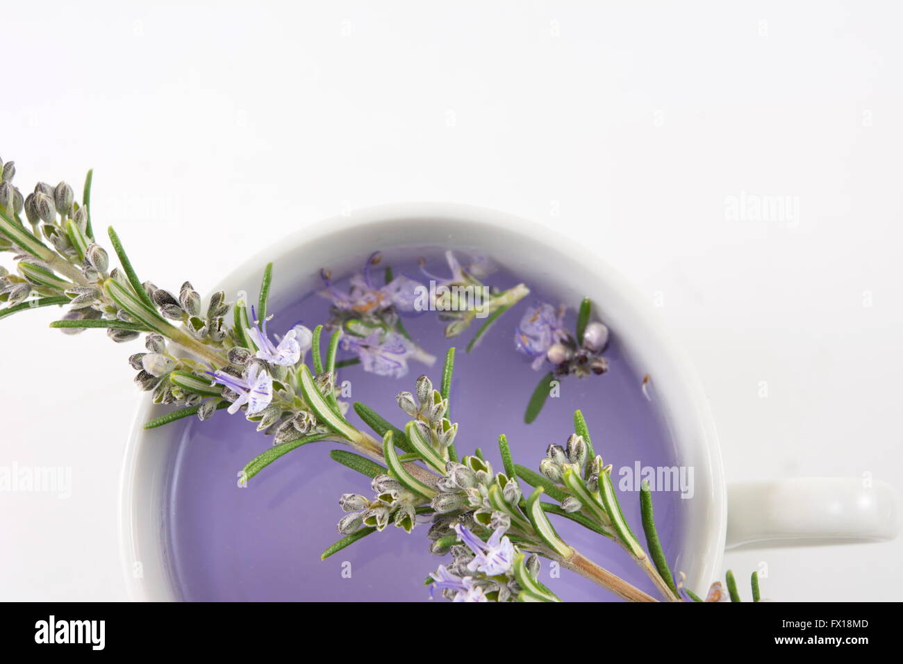 Colored rosemary tea with fresh rosemary flowers scattered Stock Photo ...