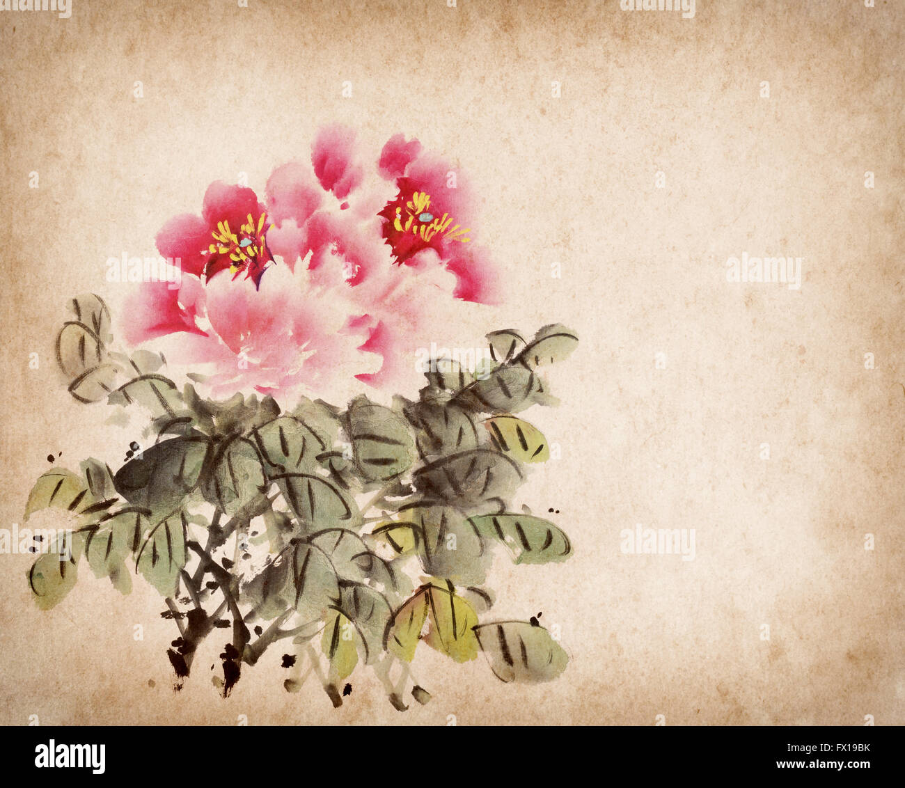 Peony flower wash painting hi-res stock photography and images - Alamy
