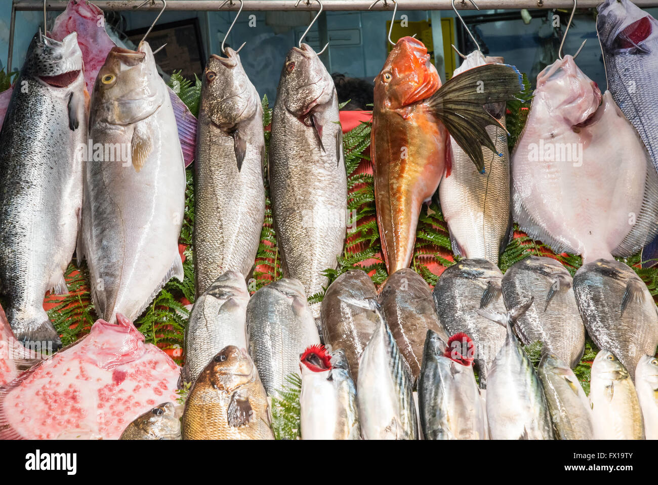 Fresh fish hanging on hooks at a fish market in Istanbul, Turkey Stock ...