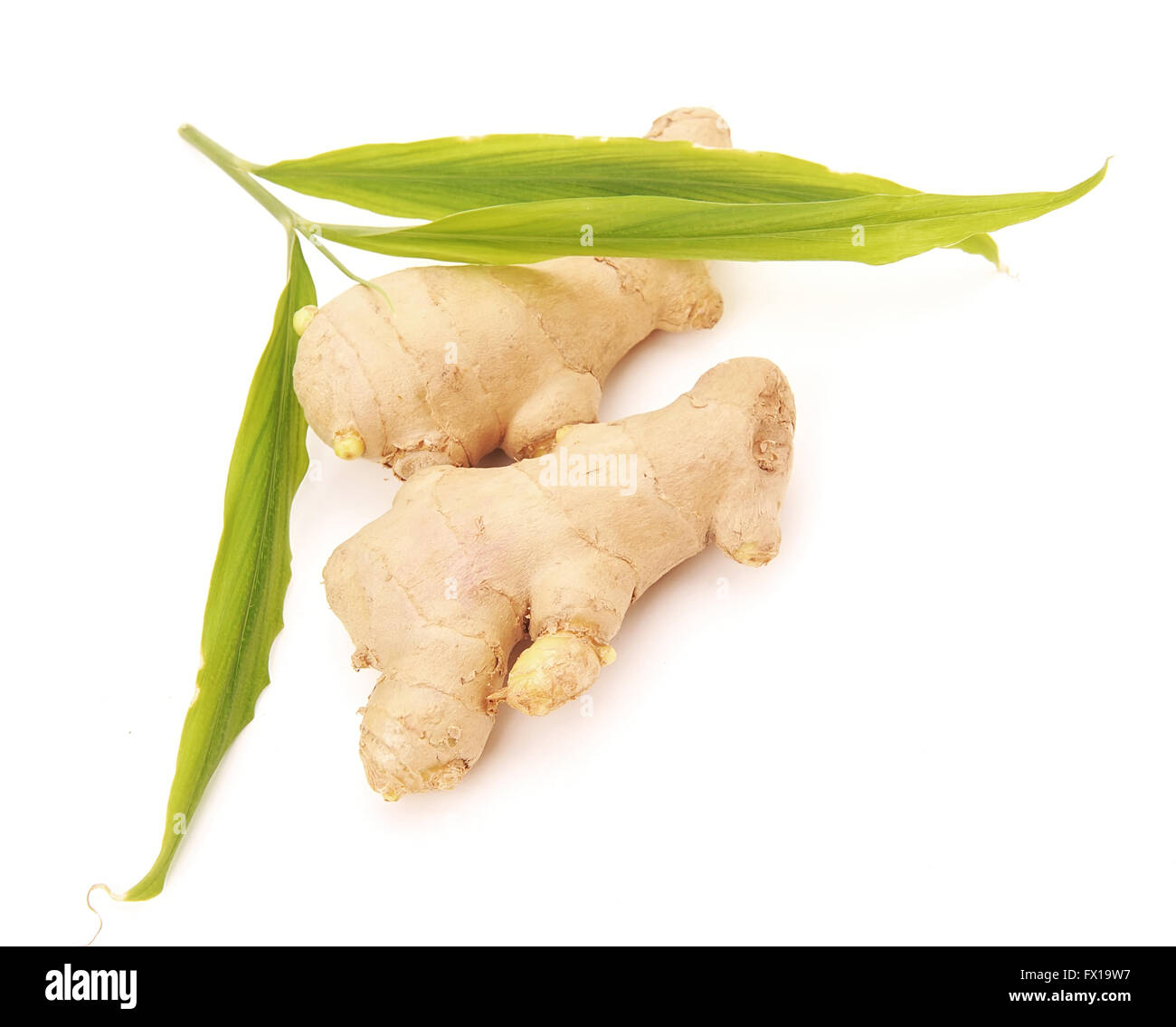 Fresh ginger root ground Cut Out Stock Images & Pictures - Alamy