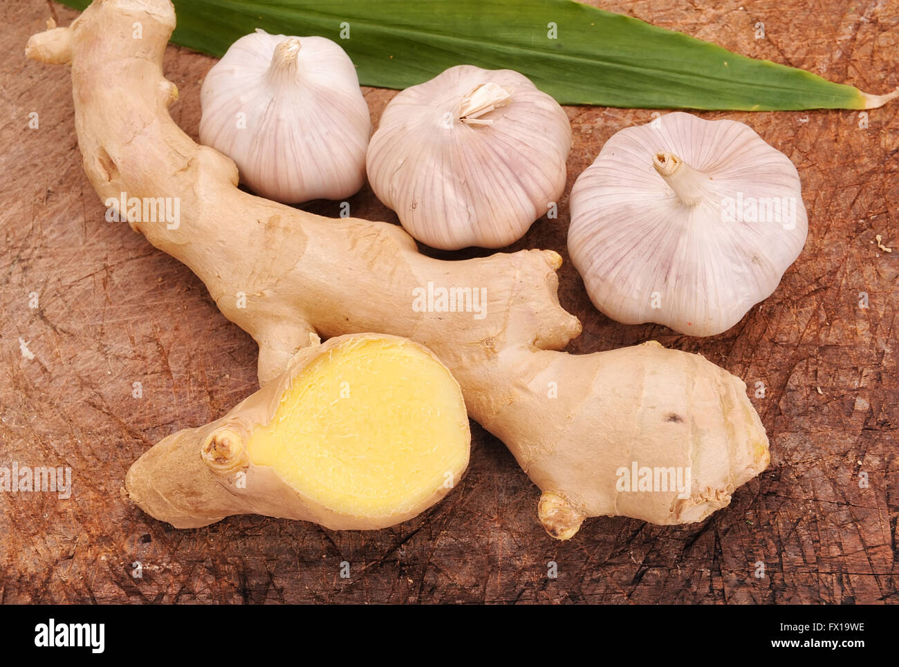 collection of fresh ginger root Stock Photo - Alamy