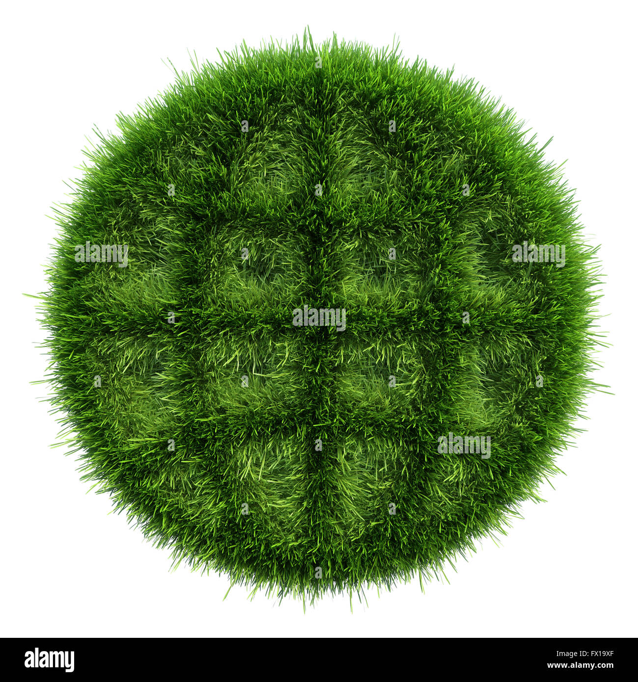 Dark Green Circle Outline