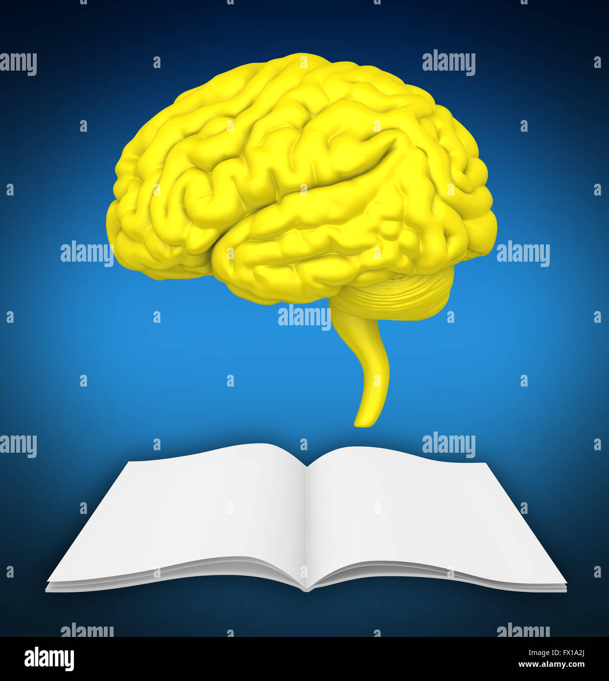The brain is close-up on book. It symbolizes knowledge of new ideas ...