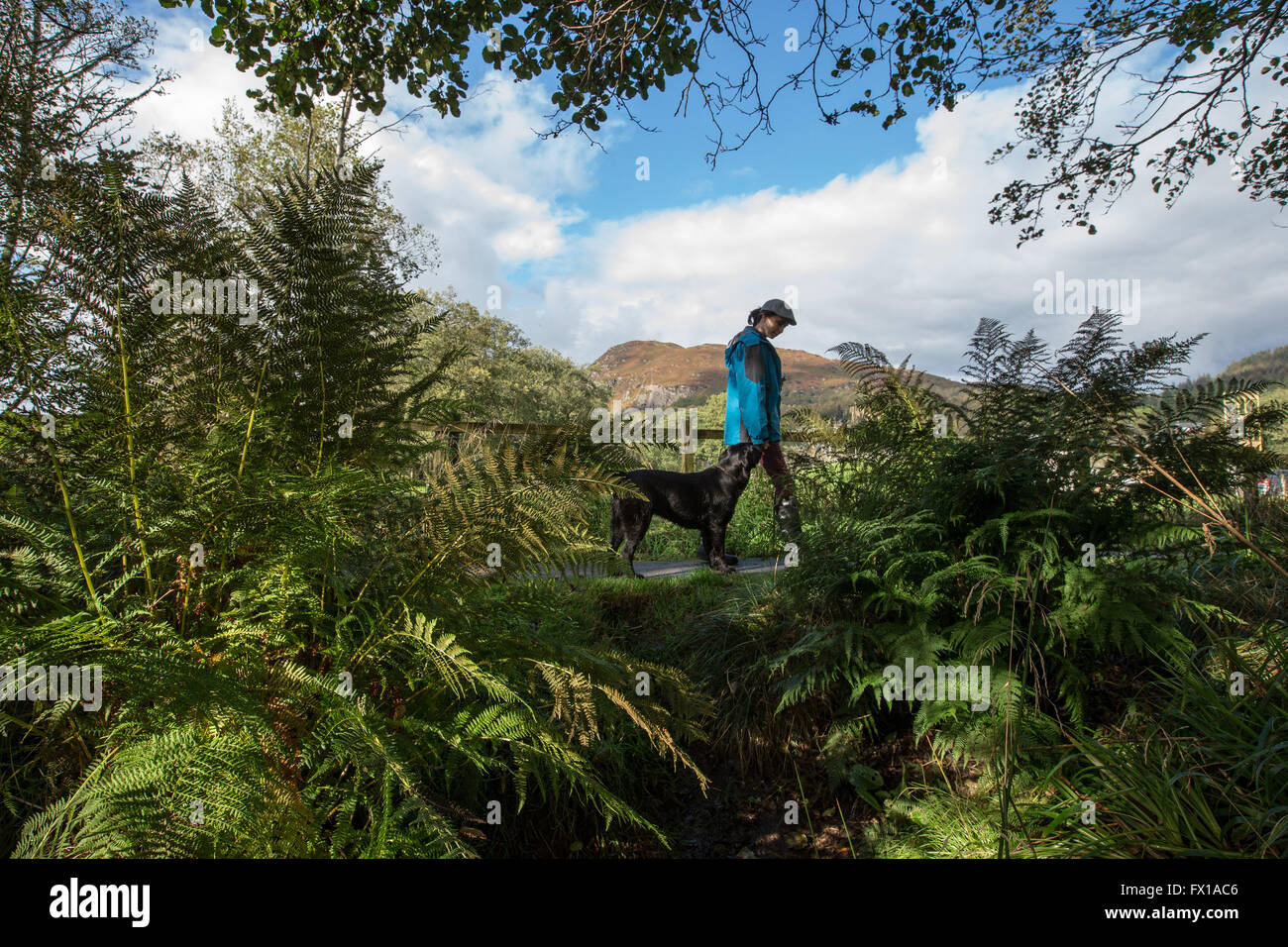 Scotland tourist map hi-res stock photography and images - Alamy