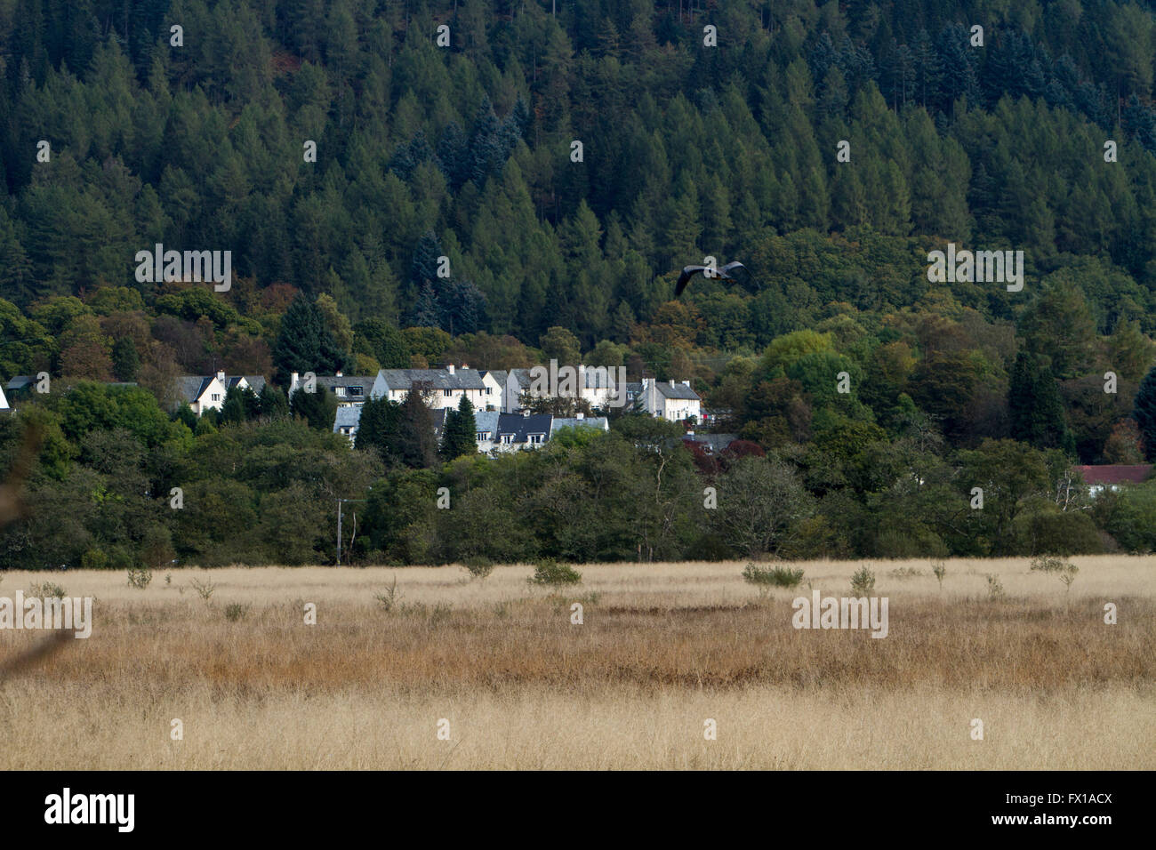 Aberfoyle hi-res stock photography and images - Alamy