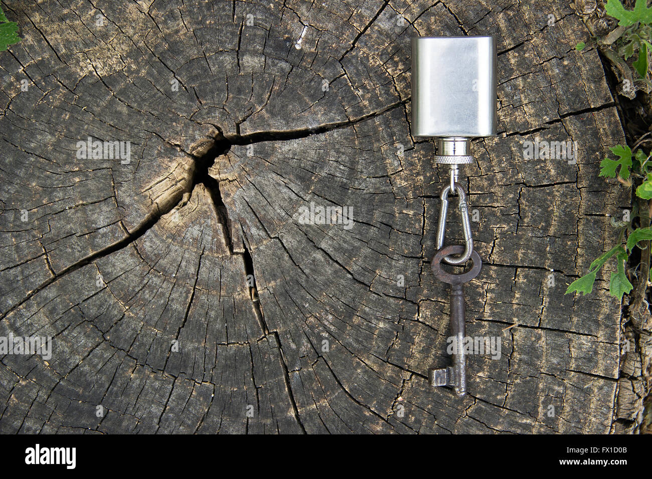 An old key tied to a flask as a key pendant presented on a stump Stock ...