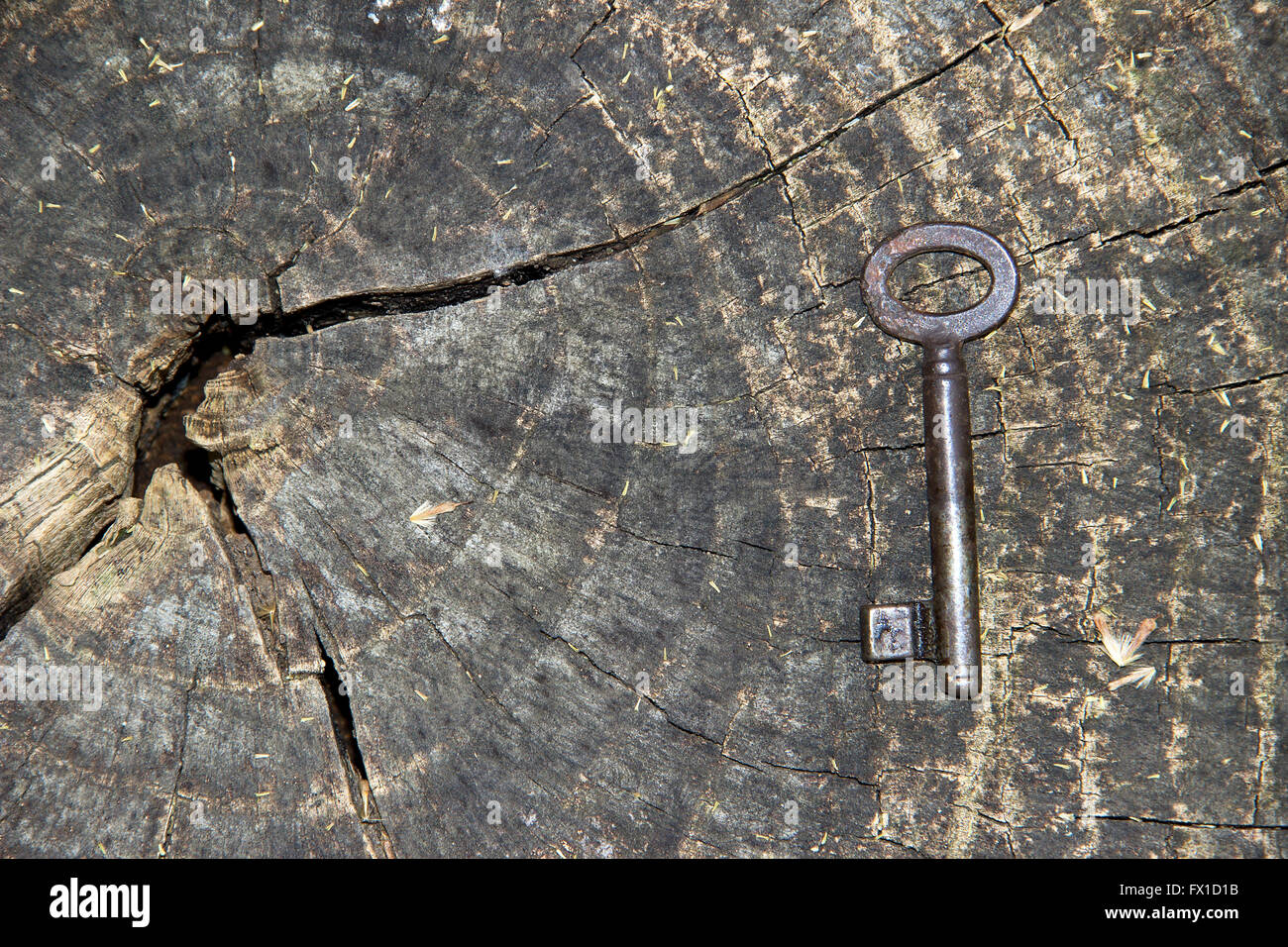 Old key ring hi-res stock photography and images - Alamy