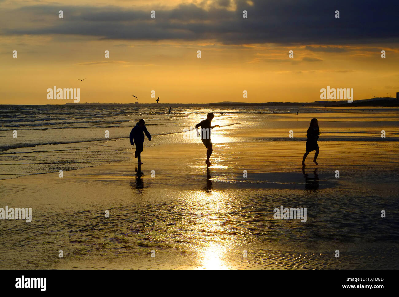 Children playing on beach at sunset/dusk Stock Photo - Alamy