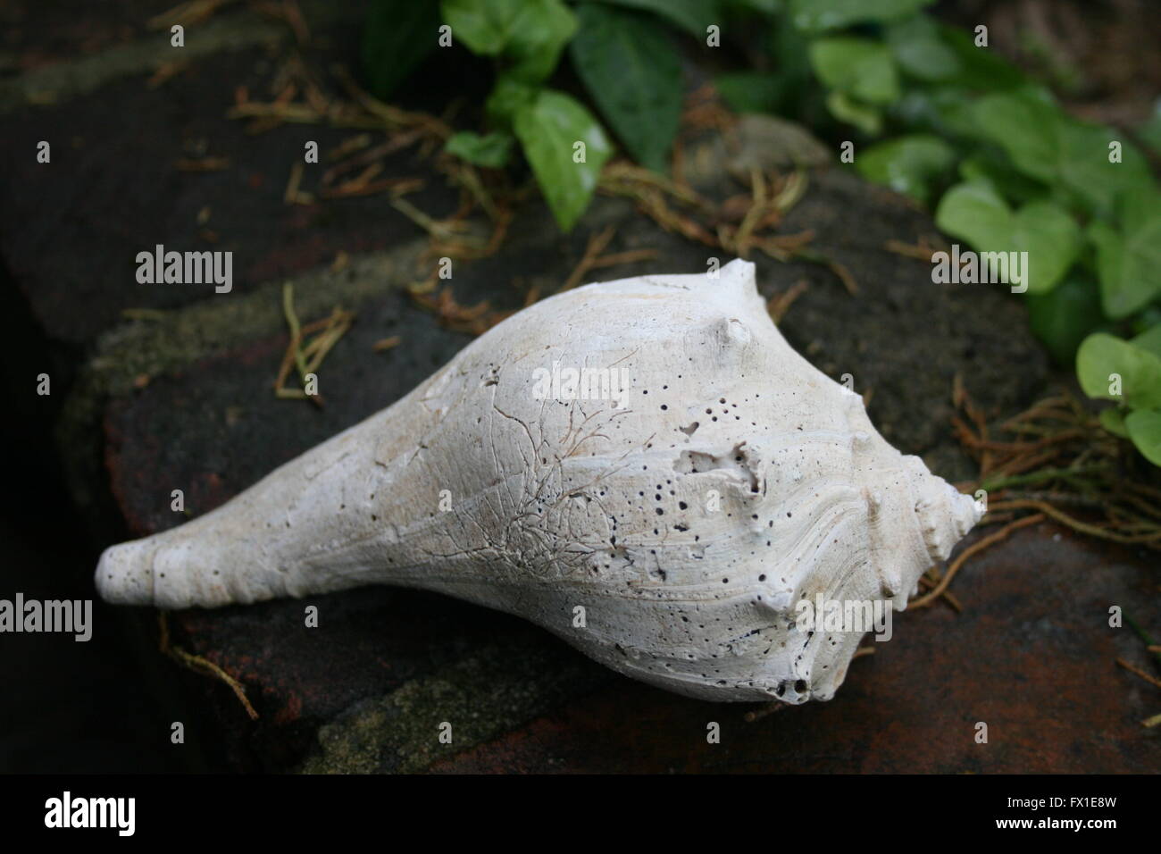 Pawleys island hi-res stock photography and images - Alamy