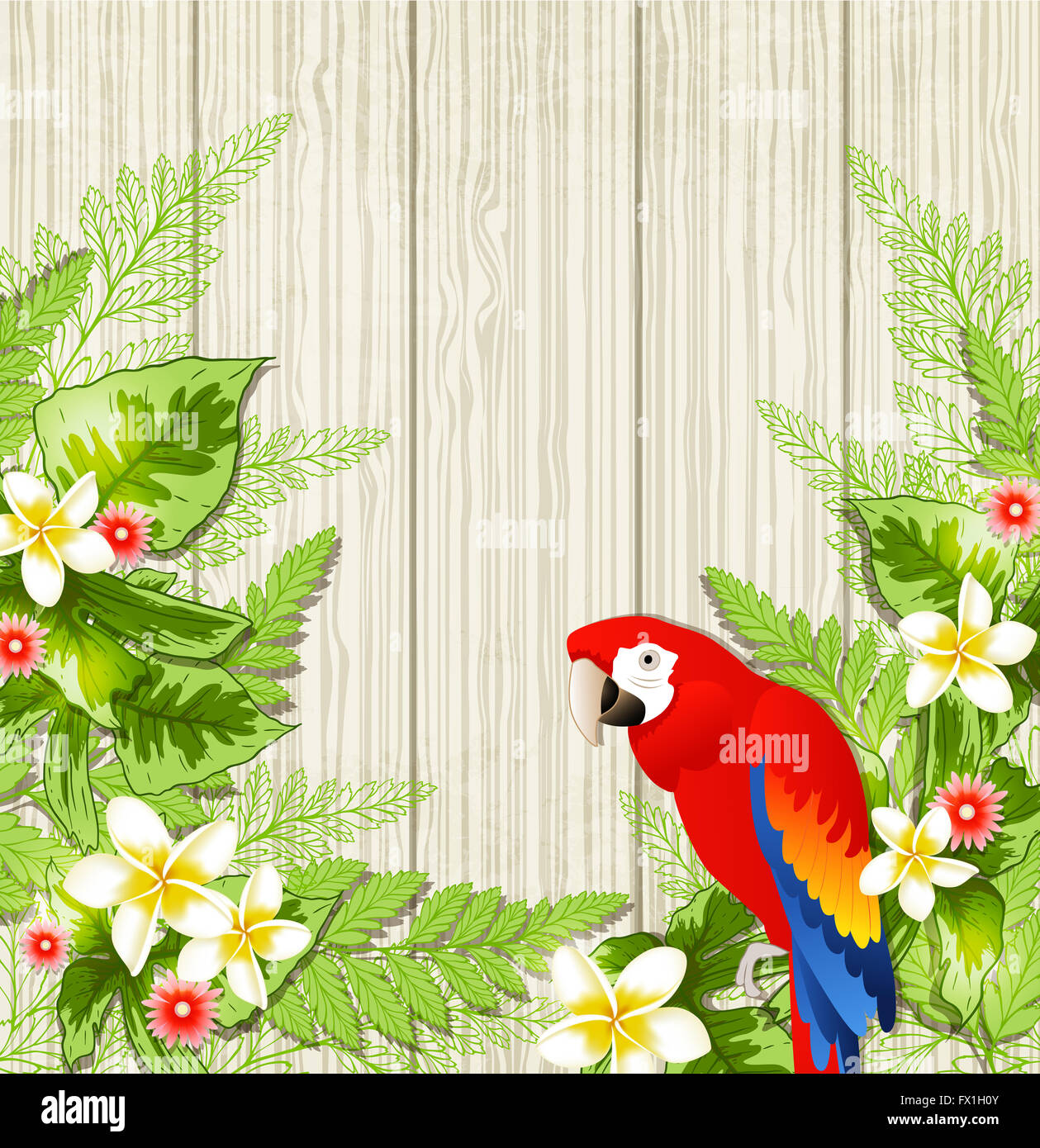 Summer background with tropical flowers and parrot Stock Photo - Alamy