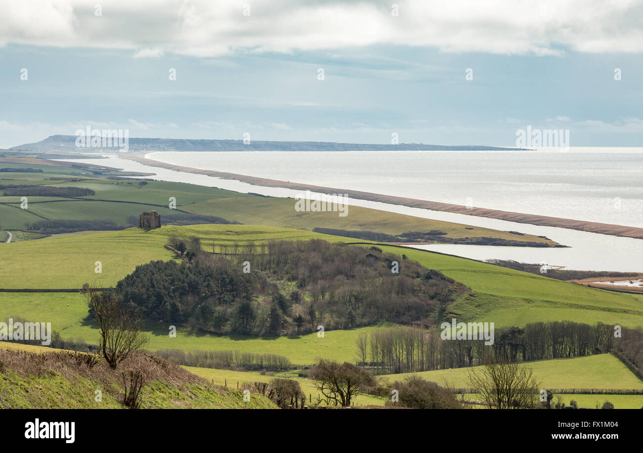 Hardy Monument, Brick Built Structure Abbotsbury, Dorset Stock Photo ...