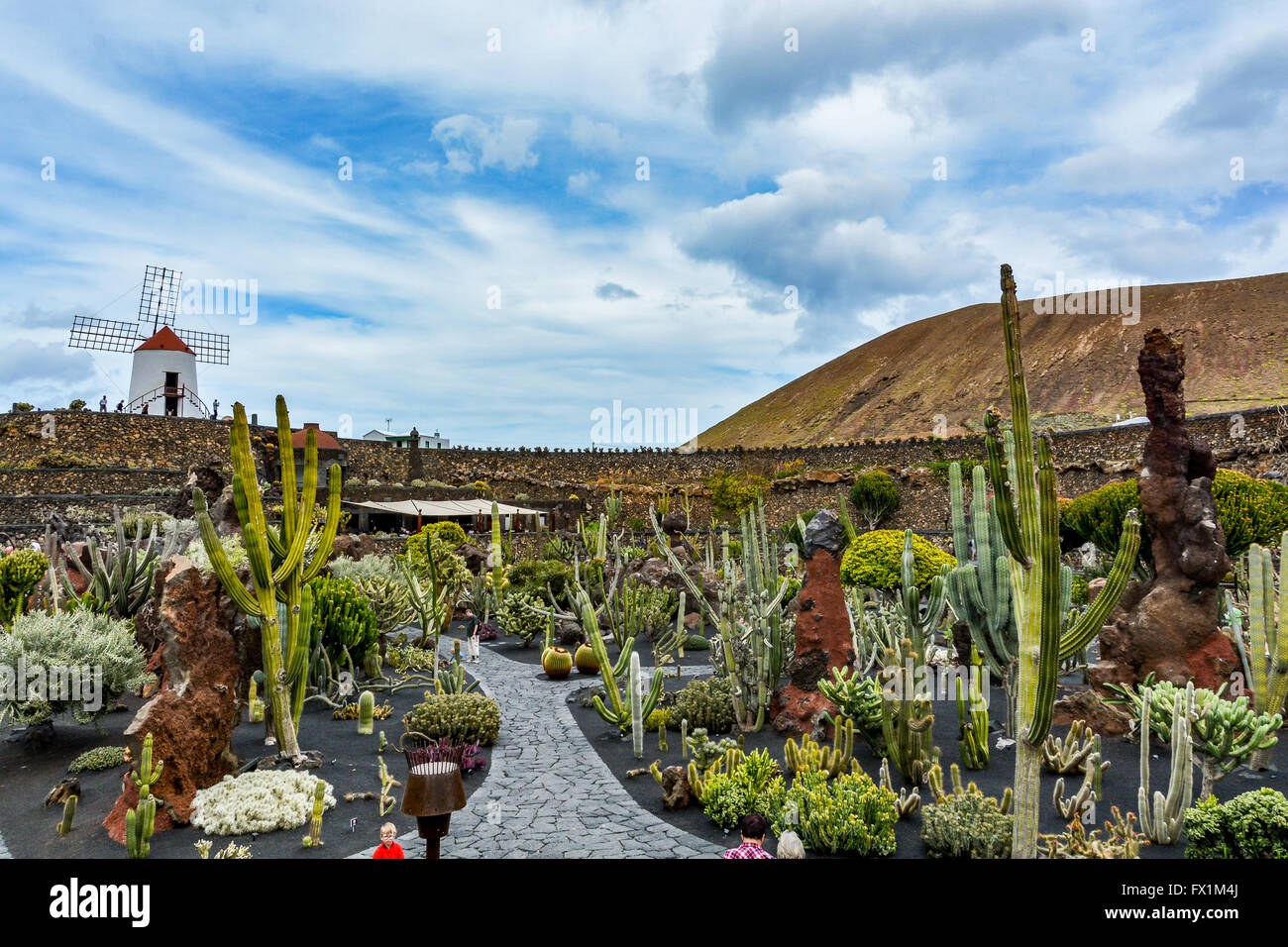 Cactus garden on Lanzarote island that was designed by Cesar Manrique ...