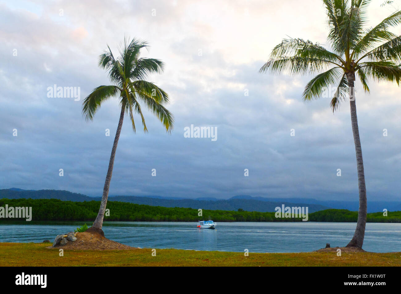 Palm trees on a boat hi-res stock photography and images - Alamy