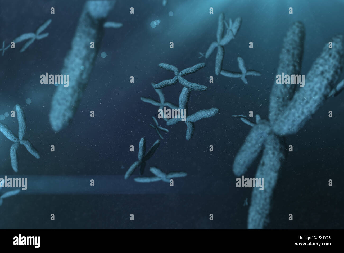 A chromosome hi-res stock photography and images - Alamy