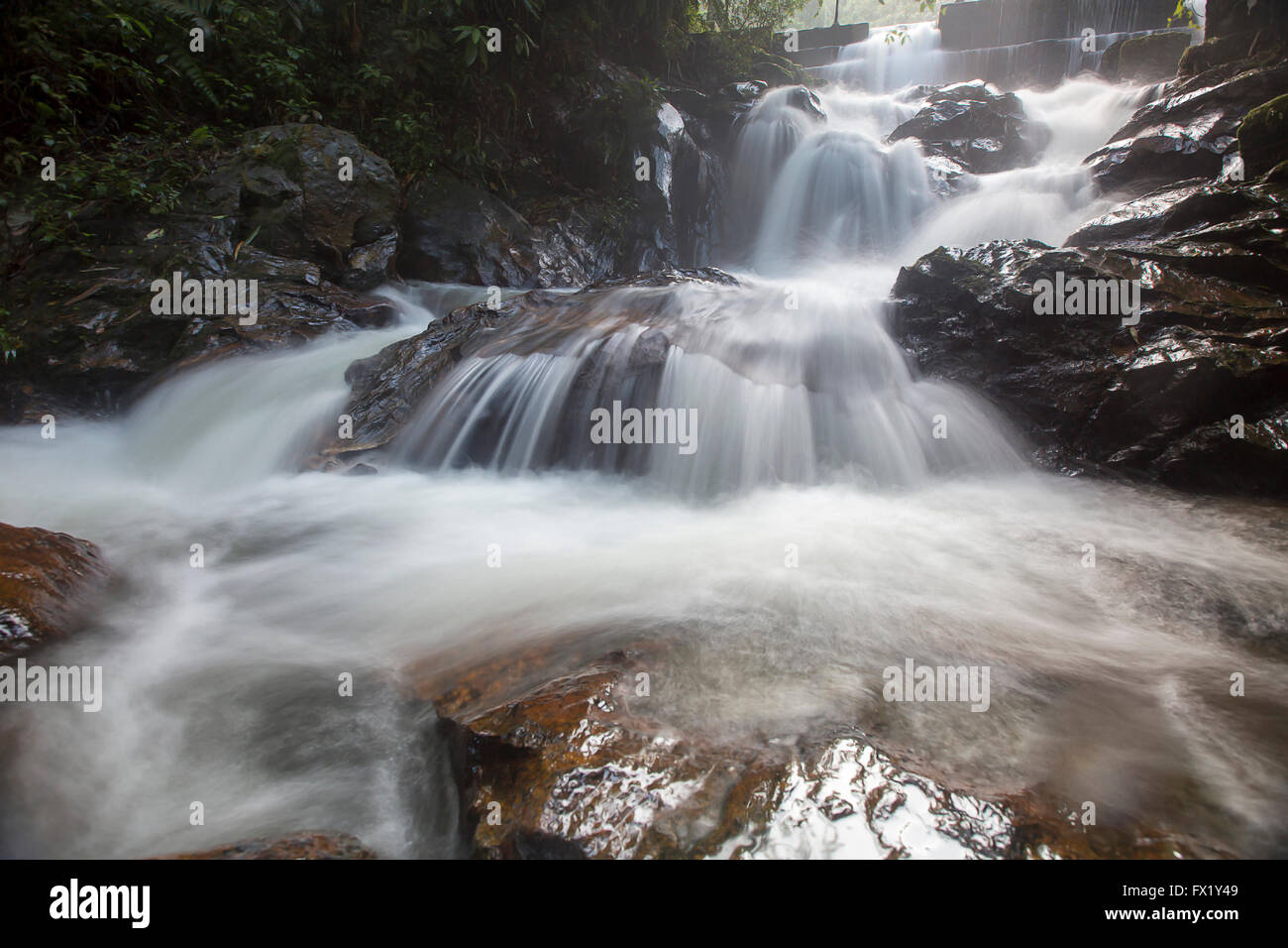 Parks ecosystem hi-res stock photography and images - Alamy