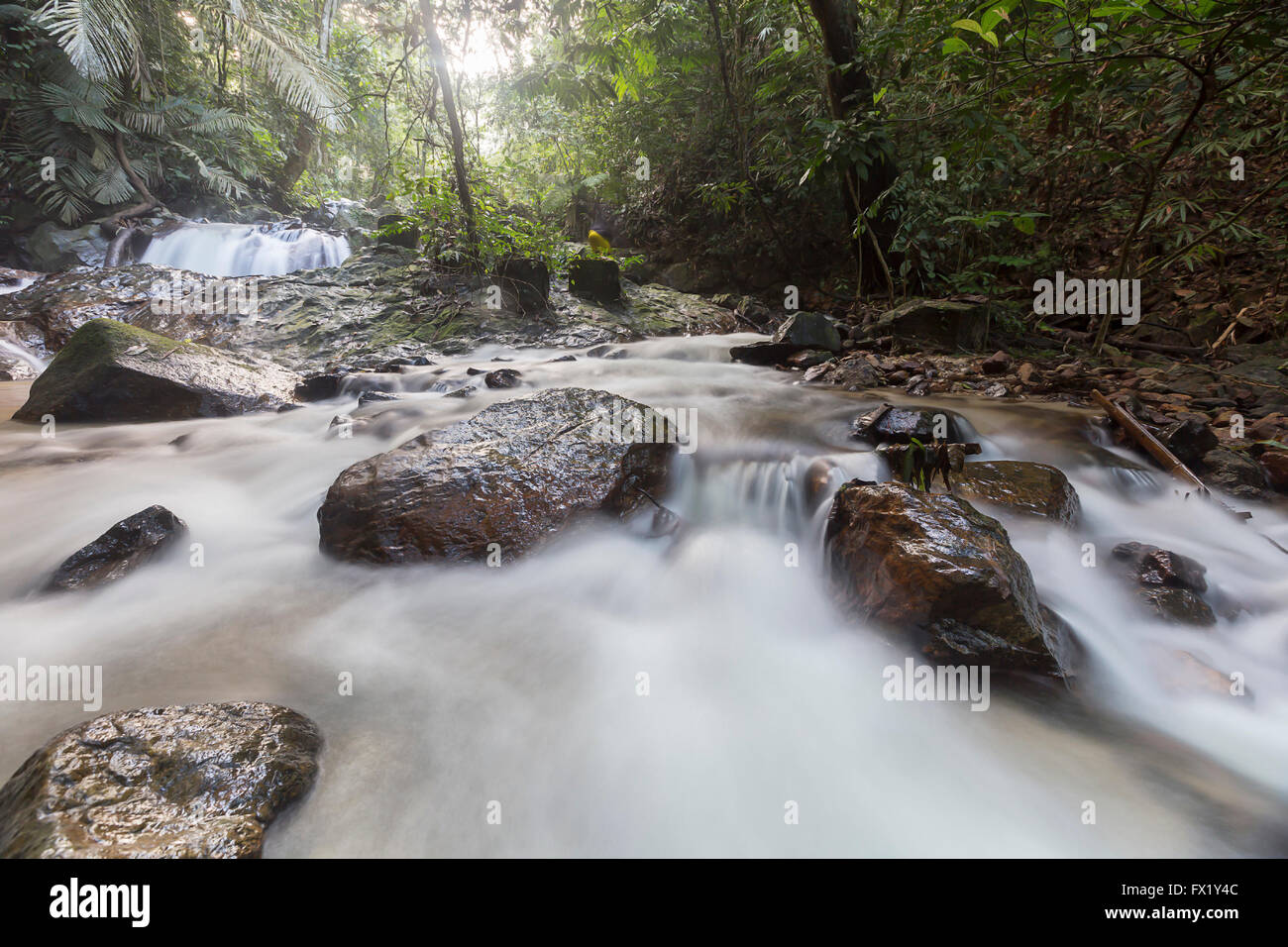 Long exposure of view hidden Templer Park's waterfall at Rawang ...