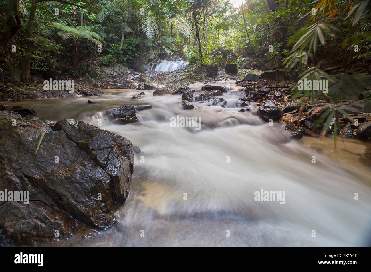 Parks ecosystem hi-res stock photography and images - Alamy