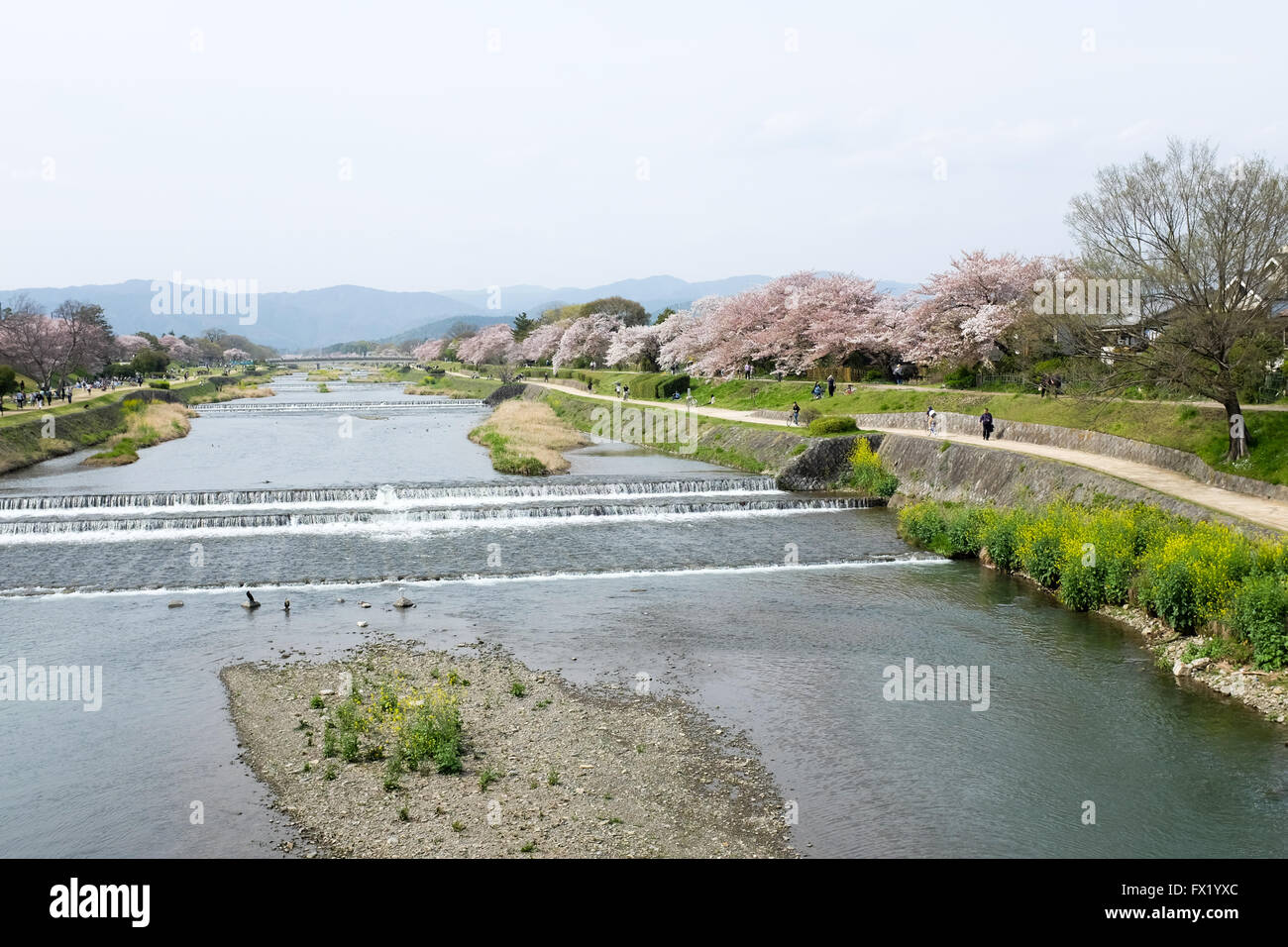 Kamogawa tokyo hi-res stock photography and images - Alamy