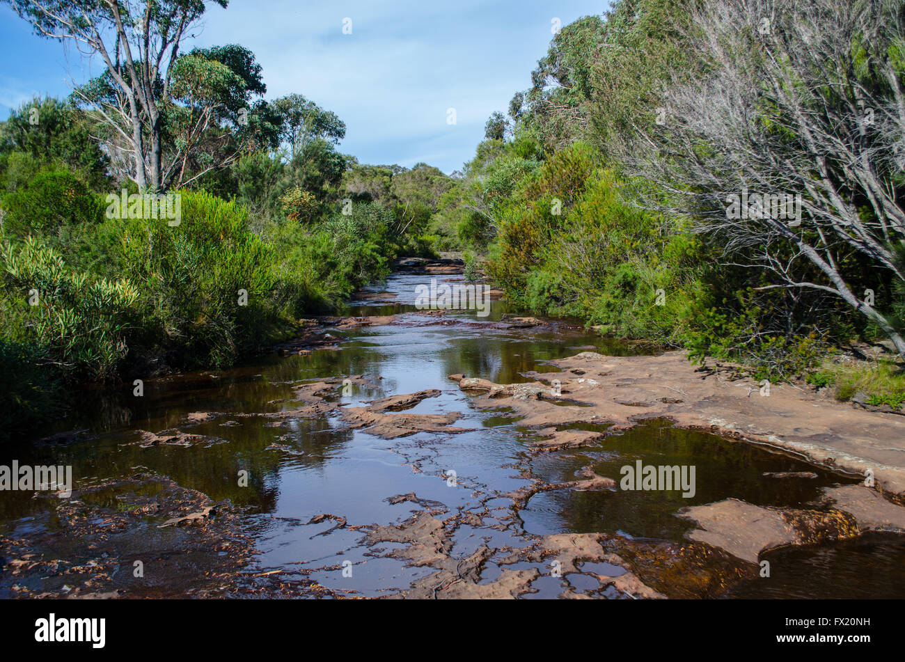Maddens Creek Dharawal Nature Reserve Darkes Forest NSW Australia Stock ...