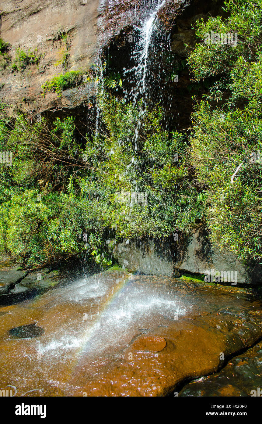 Maddens Falls Dharawal Nature Reserve Darkes Forest NSW Australia Stock ...
