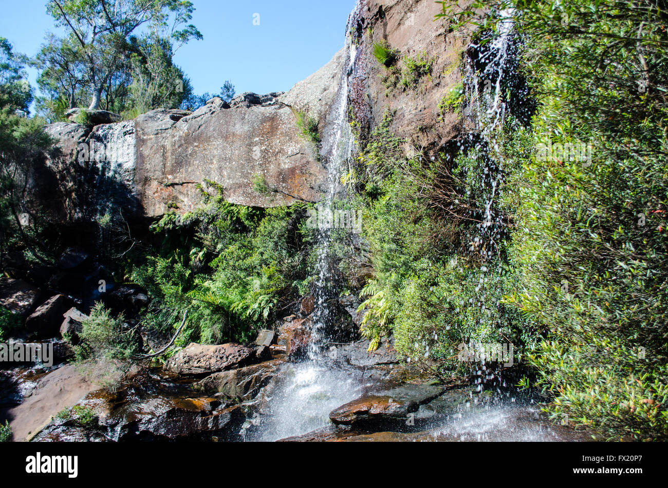 Maddens Falls Dharawal Nature Reserve Darkes Forest NSW Australia Stock ...