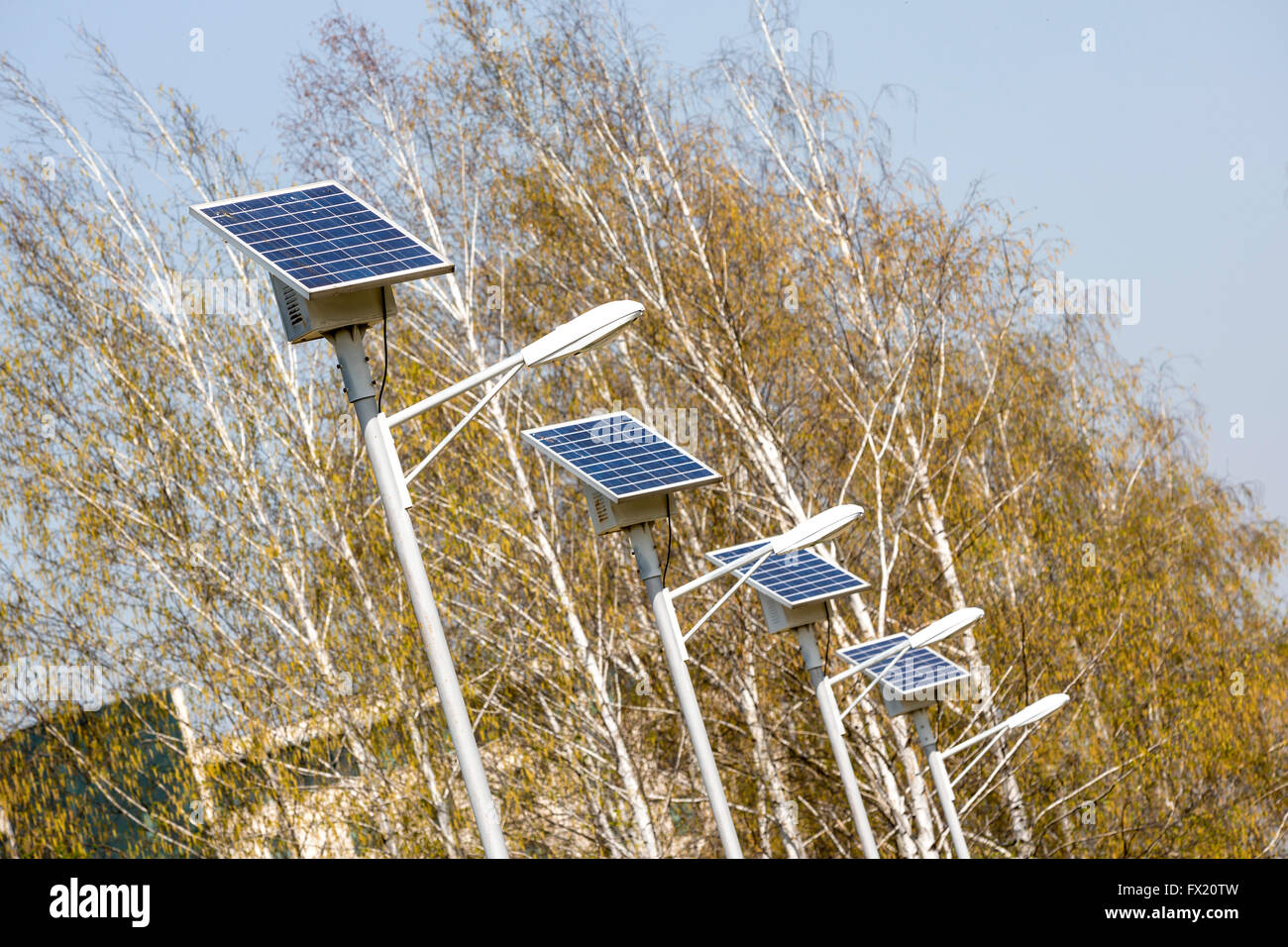 Street lamps above an alley in the park. Every lamp with its own solar ...