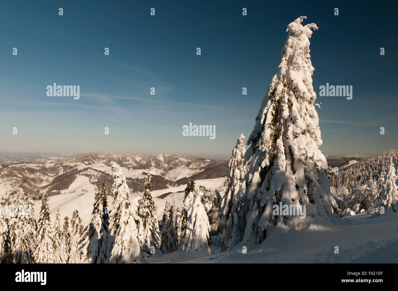 The Kysucké Beskydy is a set of mountain ranges in the Kysuce region of ...