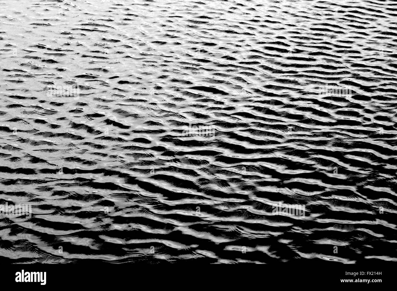Water Ripple Texture Black And White
