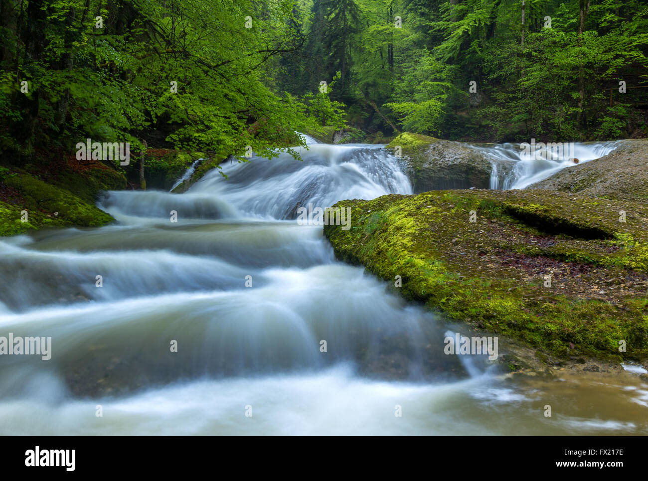 Gorge eistobel hi-res stock photography and images - Alamy