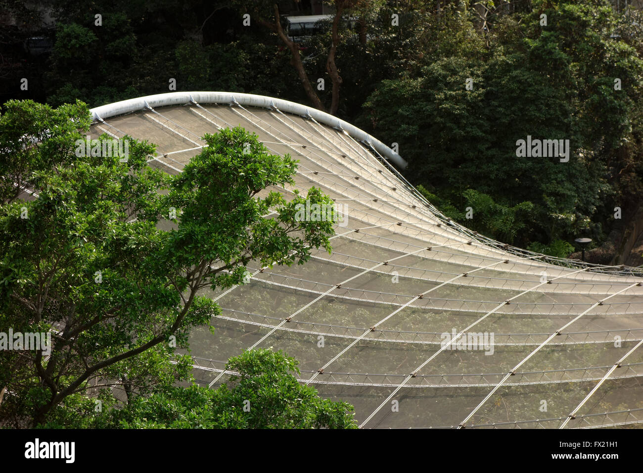 Edward Youde Aviary roof netting surrounded by trees, Hong Kong Park ...