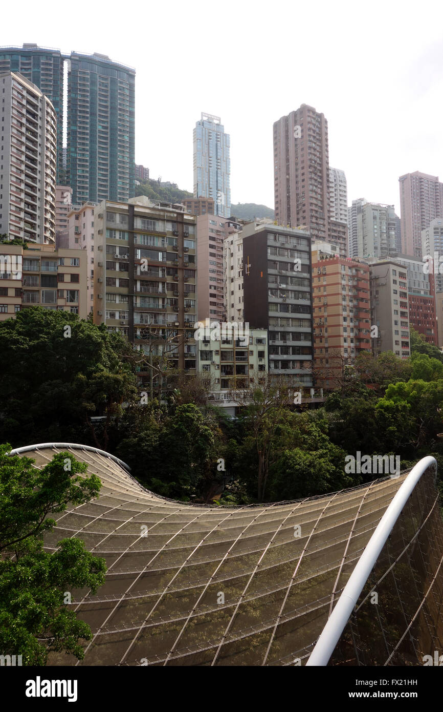 Edwarde Youde Aviary in Hong Kong Park, Hong Kong, surrounded by trees ...