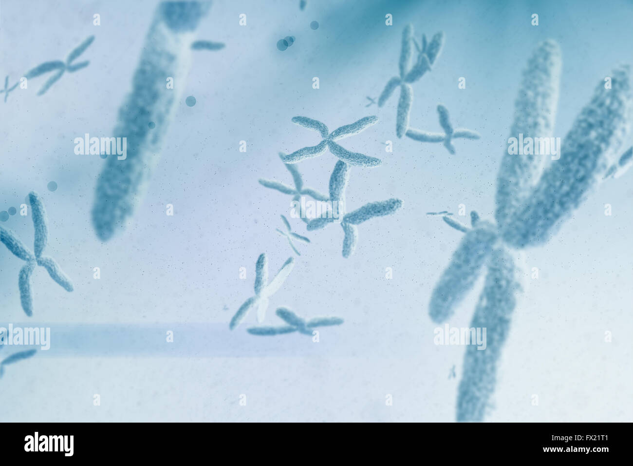 Chromosome chart hi-res stock photography and images - Alamy