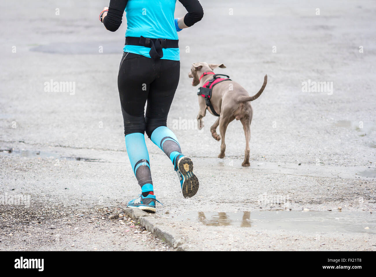Young woman running with dog in the city street Stock Photo - Alamy