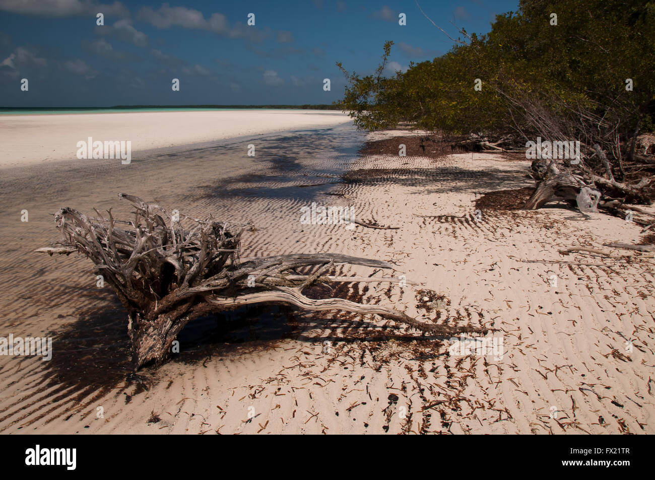 White sand of beach at Cayo Blanco, Cuba Stock Photo - Alamy