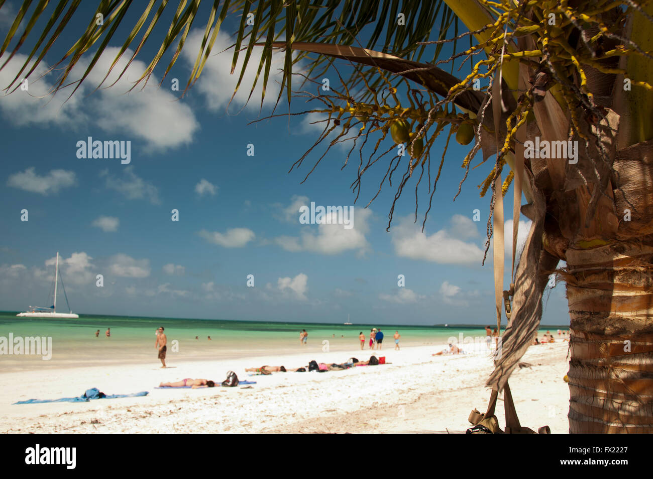 White sand of beach at Cayo Blanco, Cuba Stock Photo - Alamy