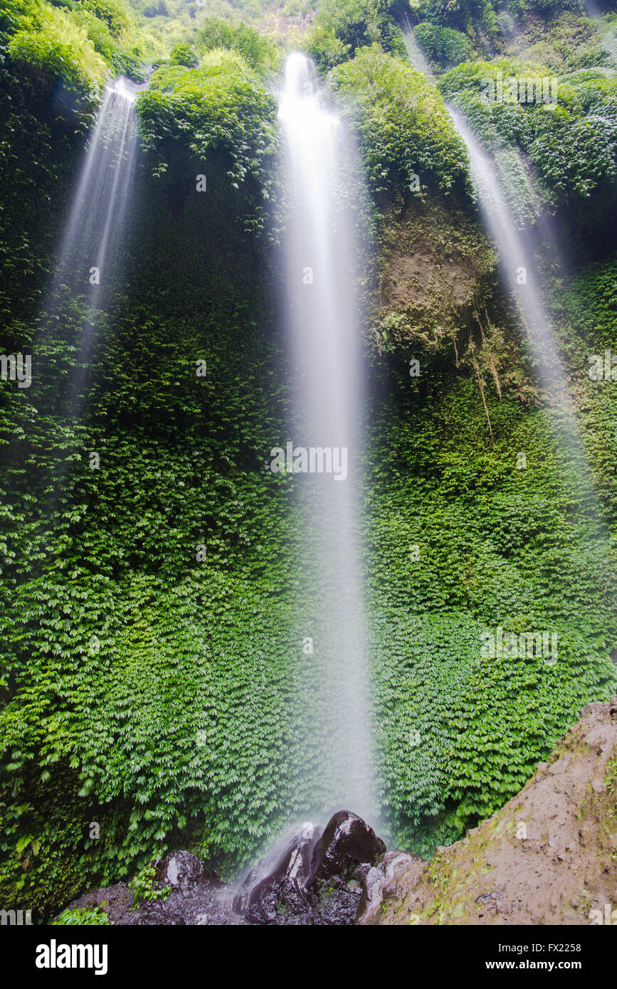 Madakaripura Waterfall, Java, Indonesia Stock Photo - Alamy